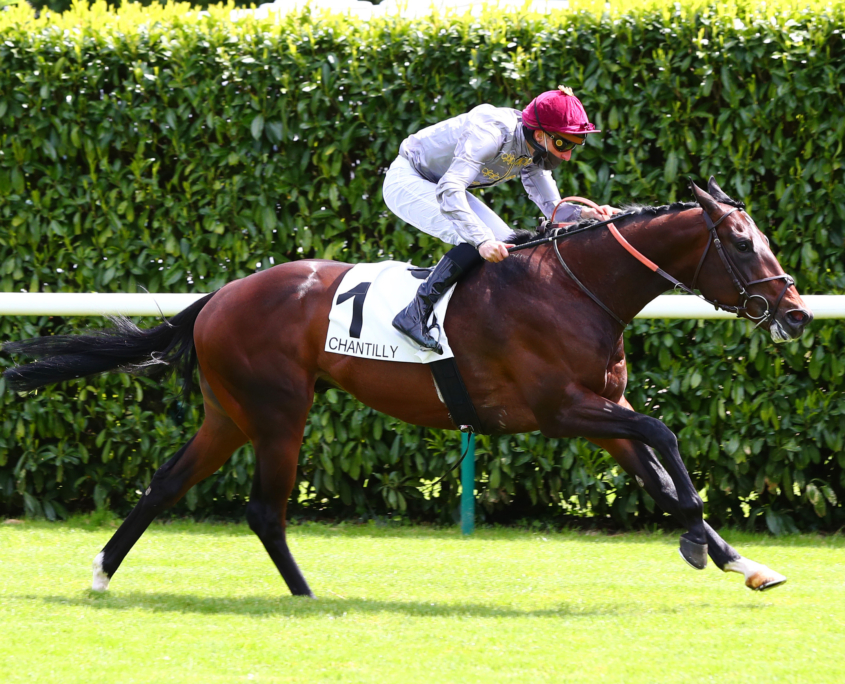 Wooded - Swettenham Stud