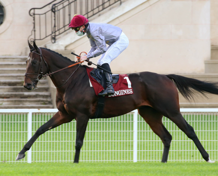 Wooded - Swettenham Stud