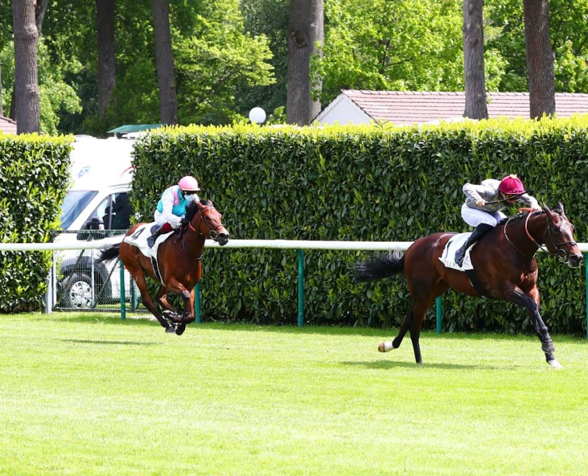 Wooded - Swettenham Stud