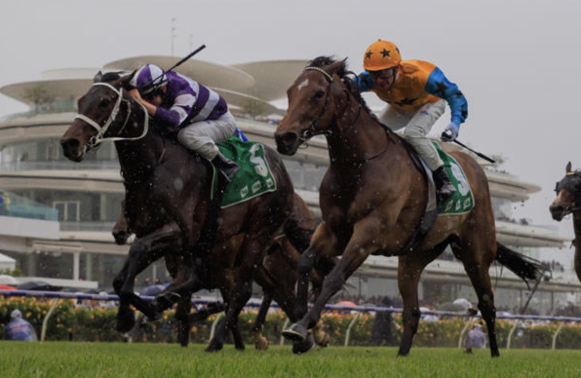 First Aussie Stakes-Winner for Highland Reel - Swettenham Stud