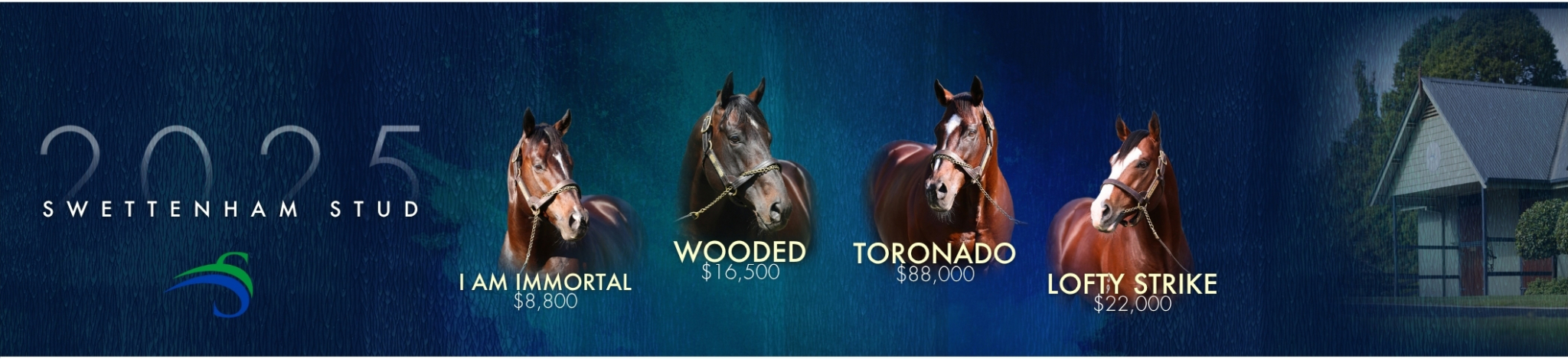 Home - Swettenham Stud